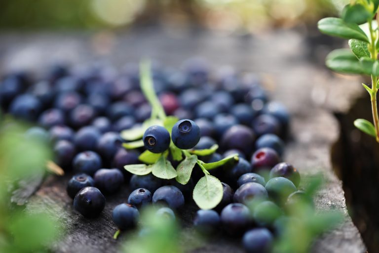 Comidas típicas finlandesas: o que comer na Finlândia