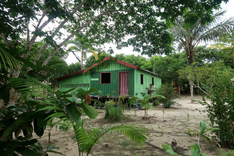 Trip to the Brazilian Amazon: a tour for responsible tourists