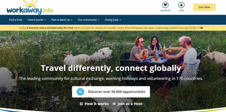 Work exchange programs: best websites to volunteer abroad and discount
