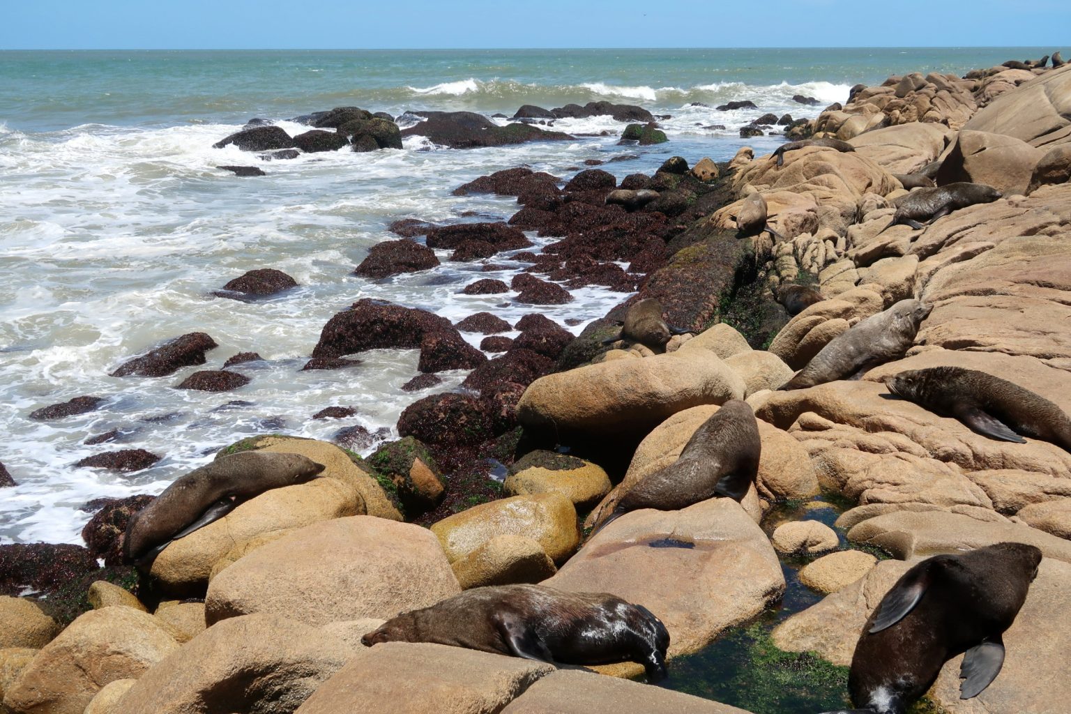 O que fazer em Cabo Polonio: guia completo da incrível vila uruguaia