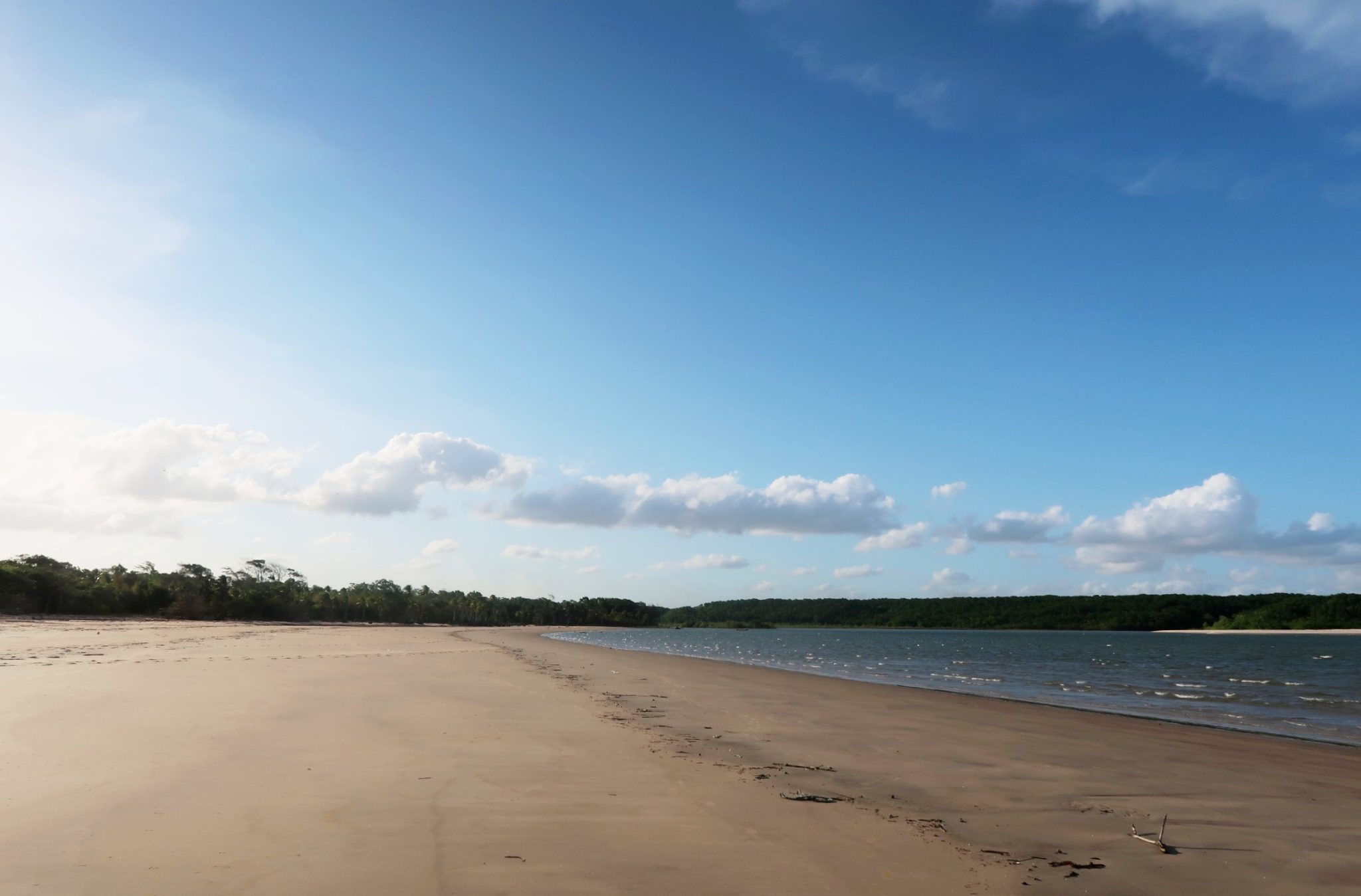 Ilha do Marajó, Pará: o que fazer, roteiro e dicas